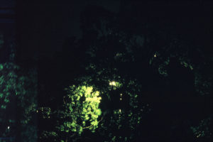 Sonic Field – sonic arts, sound studies and listening culture